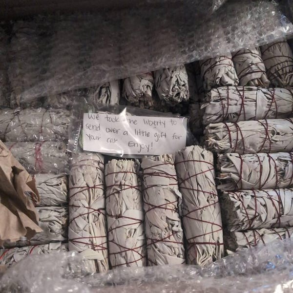 5 Pack Arizona Creosote Bush 9" Smudging Sticks Free U.S. Shipping - Etsy