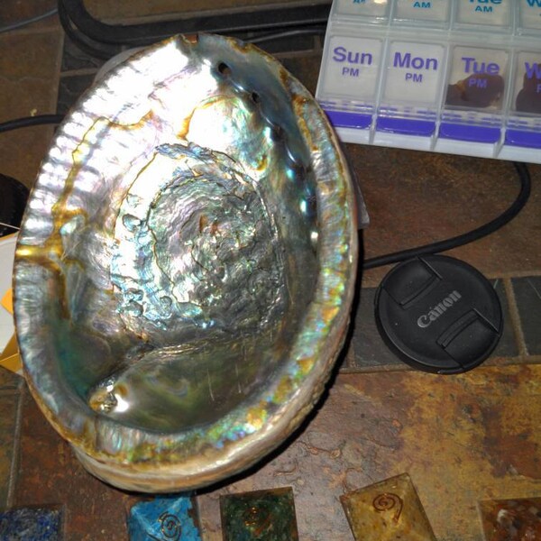 Wholesale Abalone Shells for Smudging, Smudging Bowl to Smudge White ...