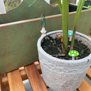 3 Glow-in-the-dark Miniature Fairy Garden Mushrooms With - Etsy