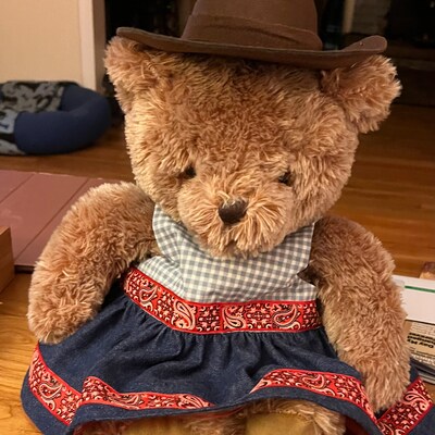 TEDDY BEAR DRESS Pdf Pattern Fits 15-18 Inch Teddy Bears Such as Build ...
