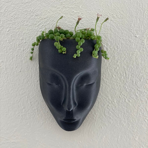 Head Planter - Face Wall Planter - Flower Pot - Hanging Garden Deco ...