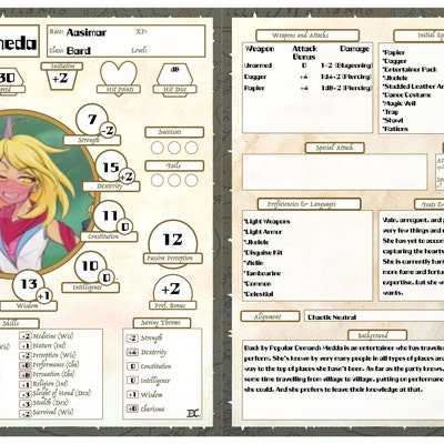 Printable Custom Character Sheet and Adventurer's Journal - Etsy