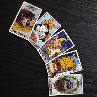 Tarot Cat the Hermit Sad Cat Meme Sticker Cat Meme Sticker, Sad Cat ...