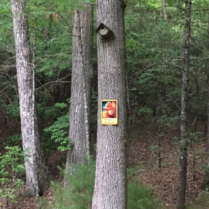 Get Caught Made in USA 8x12 Metal Sign Man Cave | Etsy