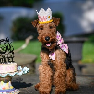 Delorean Back to the Future Birthday Car Mechanic Cake Topper ...