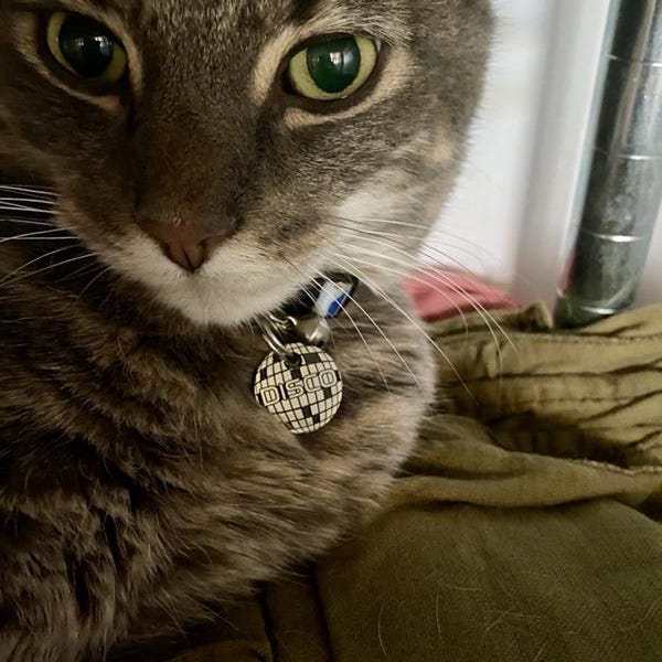 Disco Ball Pet Tag, Dog ID Tag, Cat ID Tag, Cat Collar Tag ...