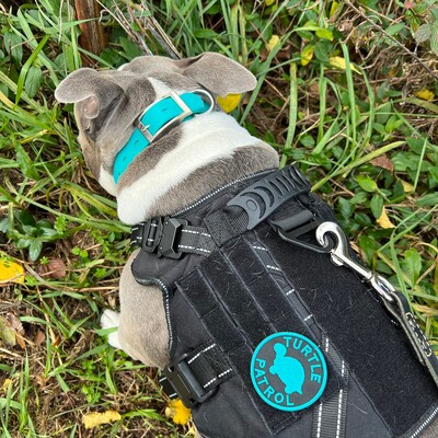 Turtle Patrol Embroidered Patch With Hook and Loop Fastener Available ...