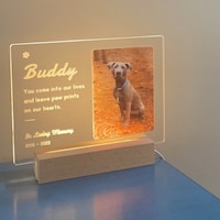 Custom Best Friend Photo Gift, LED Night Light Sign, Gift for Best ...