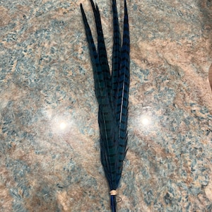 ROYAL BLUE Dyed PEACOCK Feathers 3035 for Costume - Etsy