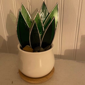 Stained Glass Agave, Stained Glass Succulent plant Only - Etsy