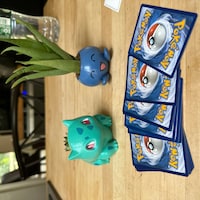 Bulbasaur pintado y maceteros extraños con suculentas/cactus vivos Dos ...