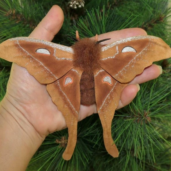 Hercules Moth , Needle Felted, Moth Figurine, Decoration, Handmade ...