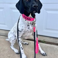 Funny Sayings Tag, Lightweight Tag, Funny Tag, Fun Dog Tag, Aluminum ...