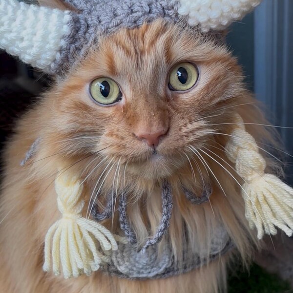 Brunhilde, Vikings, Valkyries, Wagner Opera, Hats for Cats, Pet Hats ...