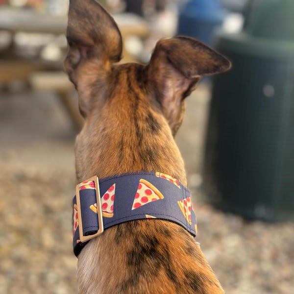 Turkeys on Black Greyhound Martingale Dog Collar 1.5, 2, Buckle ...