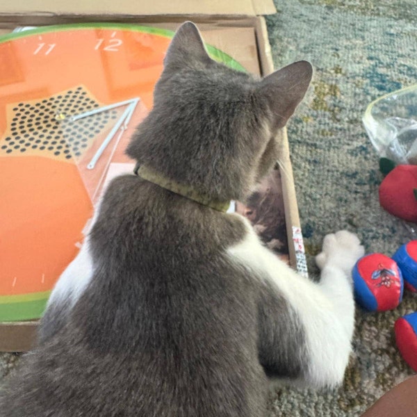 Blue Glass Clock, Blue Printed Clock, Solid Color Modern Wall Clock ...