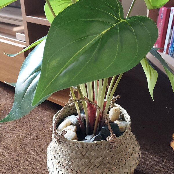 1kg of WHITE Decorative Stones Natural Pebbles Table Decoration ...