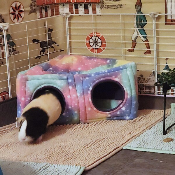 Guinea Pig Tunnel Guinea Pig Accessories Colorful Guinea Pig Play ...