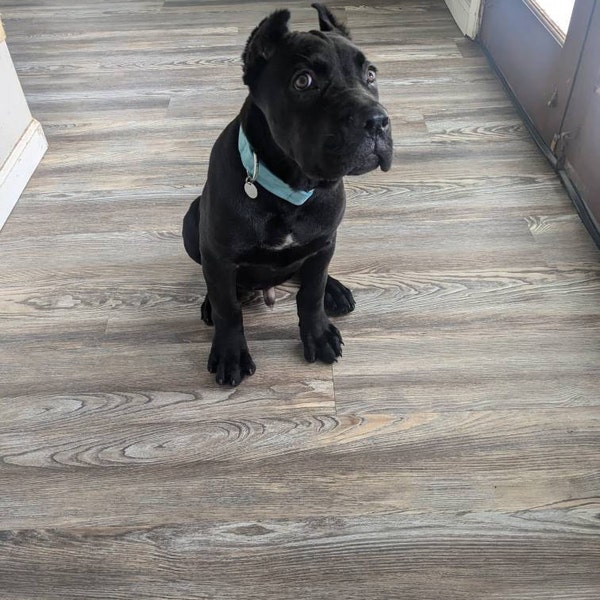 Luxe Blue Sapphire Velvet Key Fob Wristlet Winter Rose Gold, Gold ...