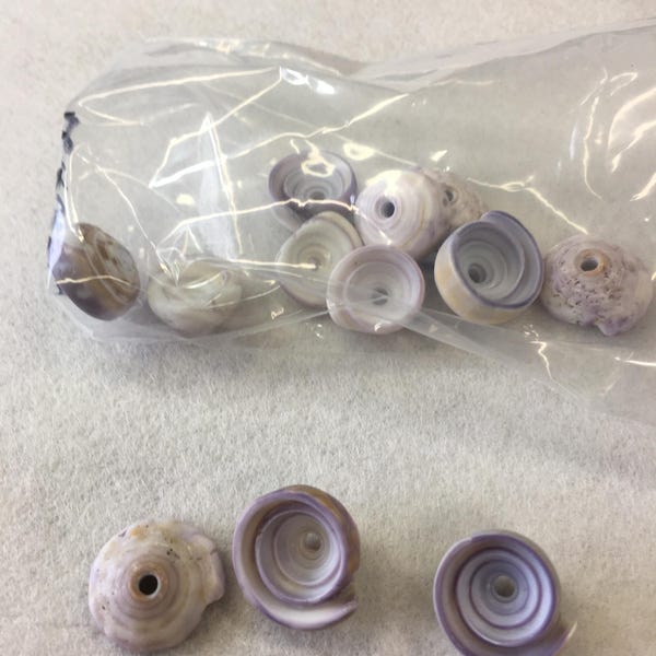 Hawaiian Puka Shells Vintage Natural Authentic - Etsy