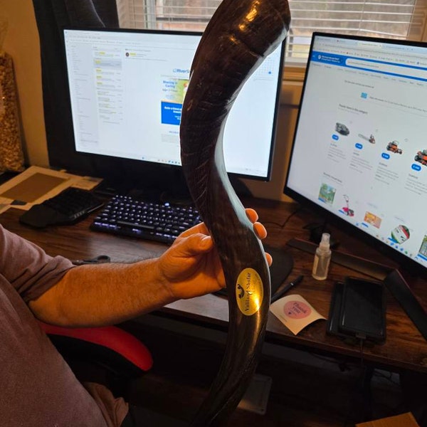 Shofar Eland Horn 18"-20" Straight Line Measured Polished New AMAZING ...