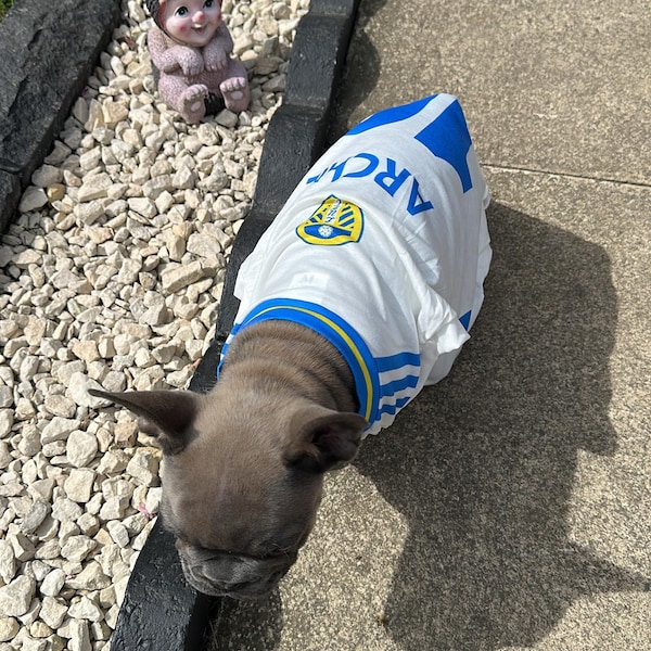 Liverpool FC -inspired Personalised Pet Tank Top With Original FC Logo ...
