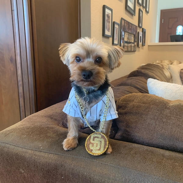 49ers Red and Black Bling Chain San Francisco 49ers Chain San Francisco ...