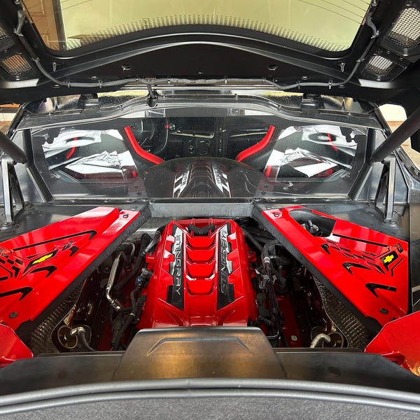 2016-2022 GT500 / GT350 RADIATOR COVER PLATE White and Blue Metallic - Etsy