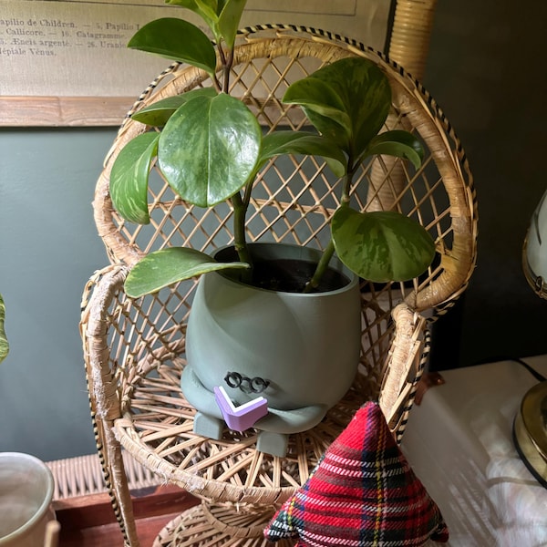 Happy Plant Pot Valentine Gift for Her Gift for Him Valentine's Day ...