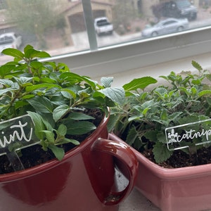 Personalized Acrylic Garden Sign Flower Pot Message Sticks | Etsy