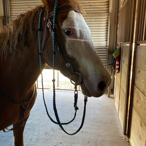 Bit Hobble Curb Strap Chinstrap Horse Tack Paracord Horse | Etsy