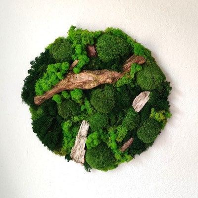 Make Your Own Moss Art, DIY Moss Wall Kit, Round Moss Art Work ...