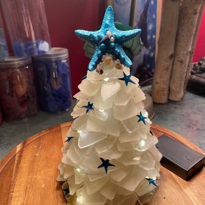 Purple Top Serpent Head Cowrie Seashells 3/4 1' 10 | Etsy