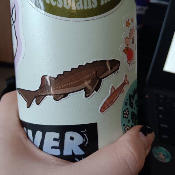 PRIDESOPODS! (pride Isopod Stickers!) LGBTQ Roly Poly Waterproof Bug ...