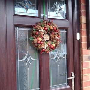Dried Conkers Conkers in Shells dried Natural Conkers | Etsy