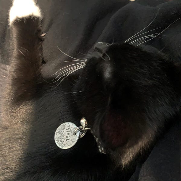 Cemetery Dog Tag Ghost Dog Tag Halloween Dog Tag Crow Raven Dog Tag Pet ...