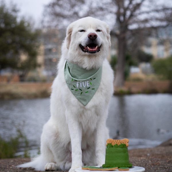 Personalized Dog Bandana Birthday Girl Bandanna for 1st Birthday ...