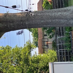 Metal Trout Sign Fisherman Gift Metal Wall Art Outdoor Metal Decor Lake ...