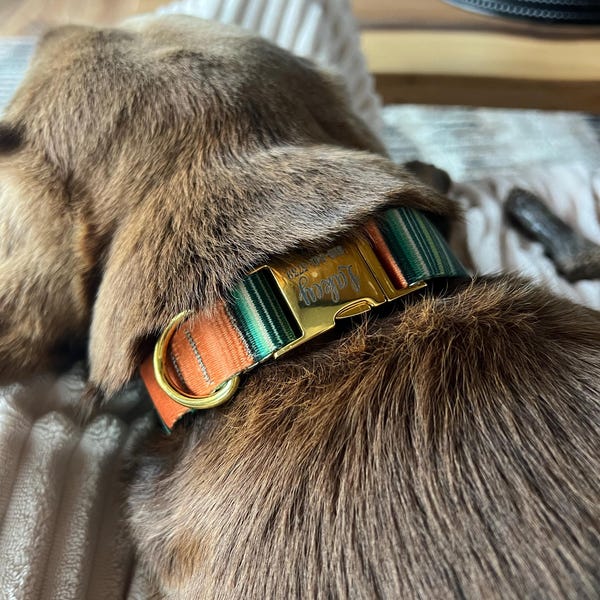 Personalized Dog Collars Boy Dog Collars, Custom Dog Collar With Name ...