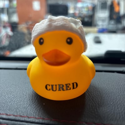 Duck Accessory, Cruising Duck, Cute Gift, Airplane Rubber Duck, Travel ...