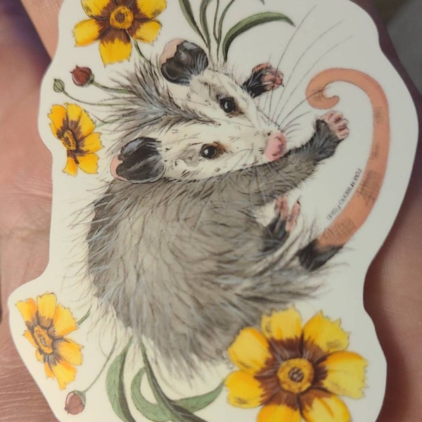 Sticker: Yellow Swamp Flower Possum Opossum Planner, Craft, Vinyl Art ...