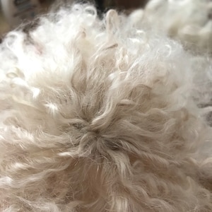 Rainbow-mix Suri Alpaca Fleece and Hand-dyed Suri Locks Spinning and ...