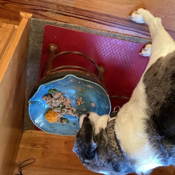 Ceramic Christmas Tree, Green or White, Pottery Tree, Holiday Decor ...