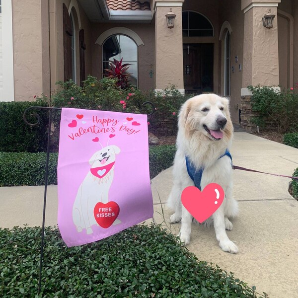 Custom Graduation Dog Bandana Custom Colors to Match Your School Tie on ...