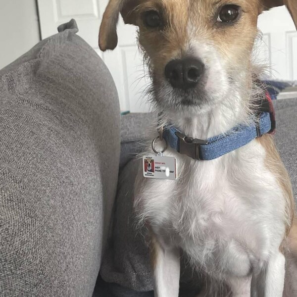 Texas Driver Dog Id Tag Personalized License, Durable Dog Tag, Double ...