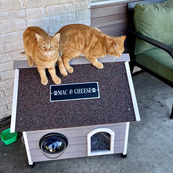 Custom Cat Name Sign | Cat House Sign | Cat House Accessories | Cat ...