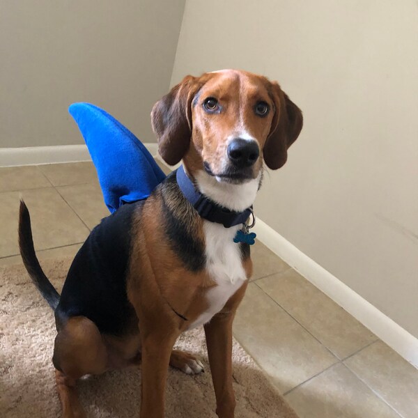 Shark Fin for Dogs, Dog Halloween Costume, Cosplay Accessory, Shark ...