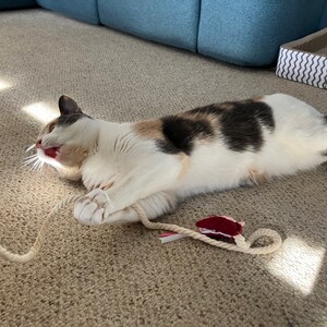 Cat Teaser Wand Cat Toy Star Cat Toys Wand Cute Cat Toys - Etsy