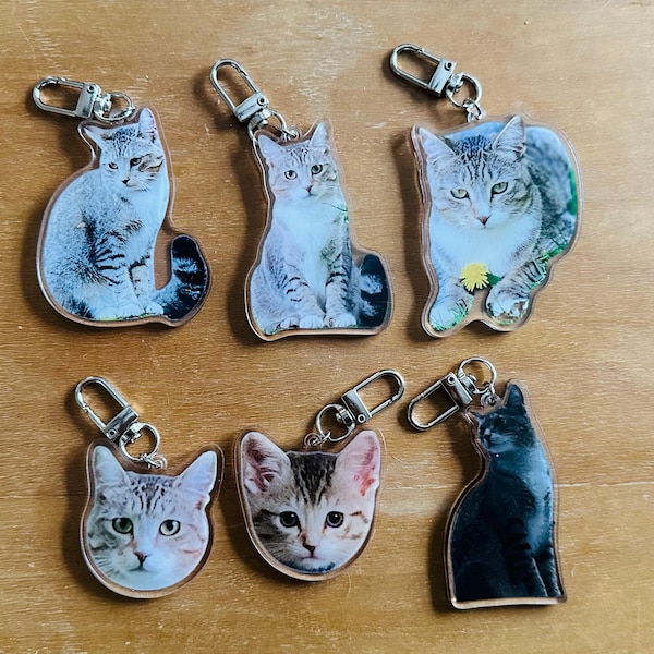 Custom Cat Keychain, Dog Keychain, Pet Keychain, Personalized Pet Photo ...