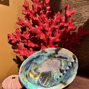 Black Crystalline Coral Reef Decor Valentines Gift for Her - Etsy